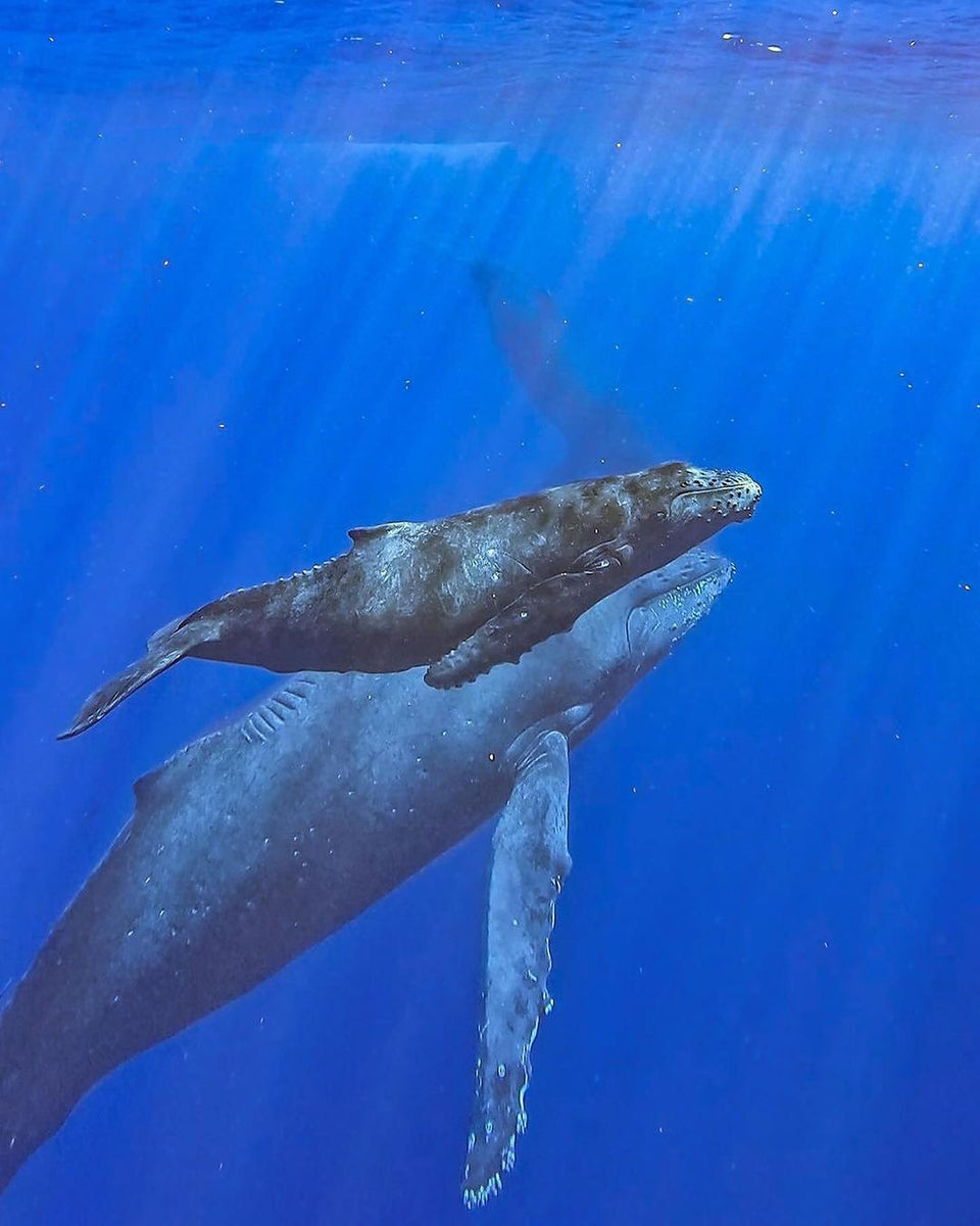 Wonderful Travel Destinations To Wander #108 – Travel & Wander