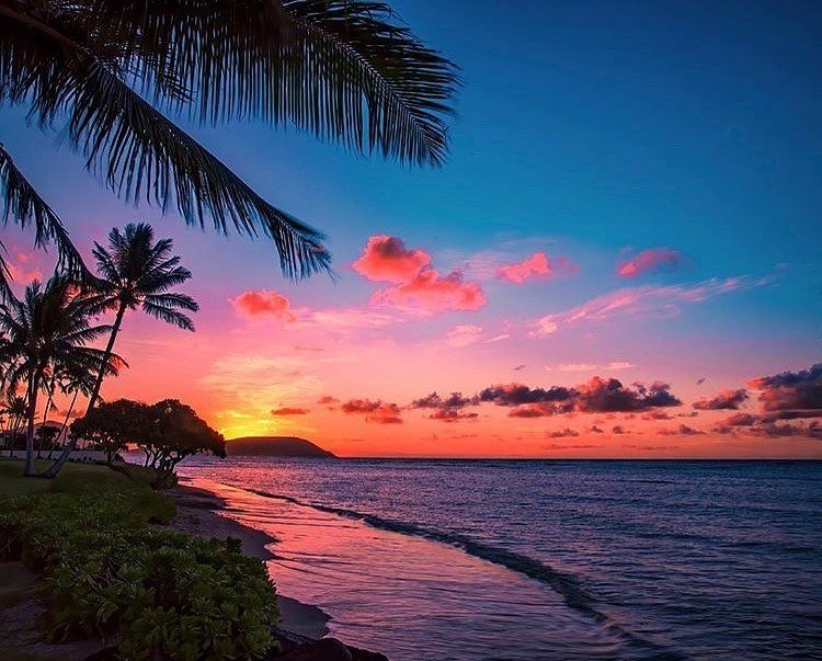 Hawaii The Tropical Paradise – Travel & Wander